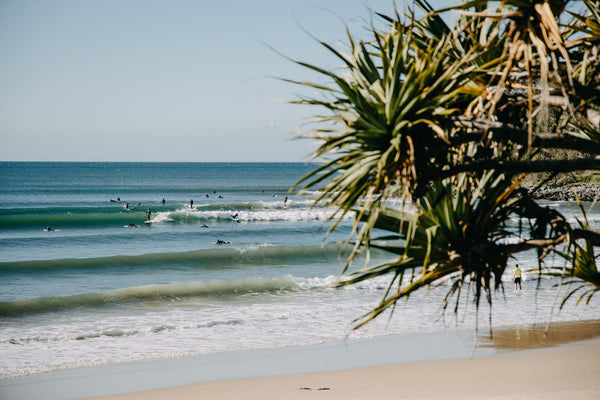 Tea Tree Bay – DG Imagery